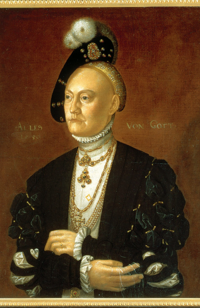 Koldinghus Castle – The Association of Castles and Museums around the ...